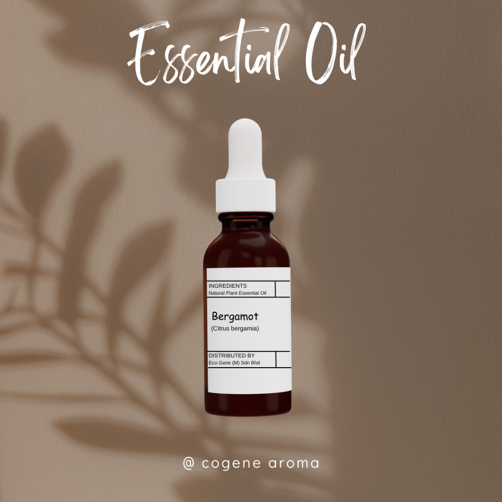 [Cogene] NATURAL PLANT BERGAMOT ESSENTIAL OIL 10ML GIFT BOX | Shopee ...