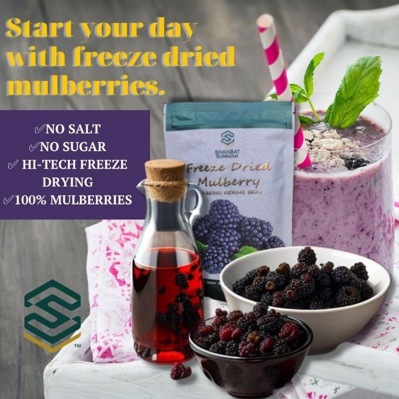 FREEZE DRIED MULBERRY SNACK SIHAT | Shopee Malaysia