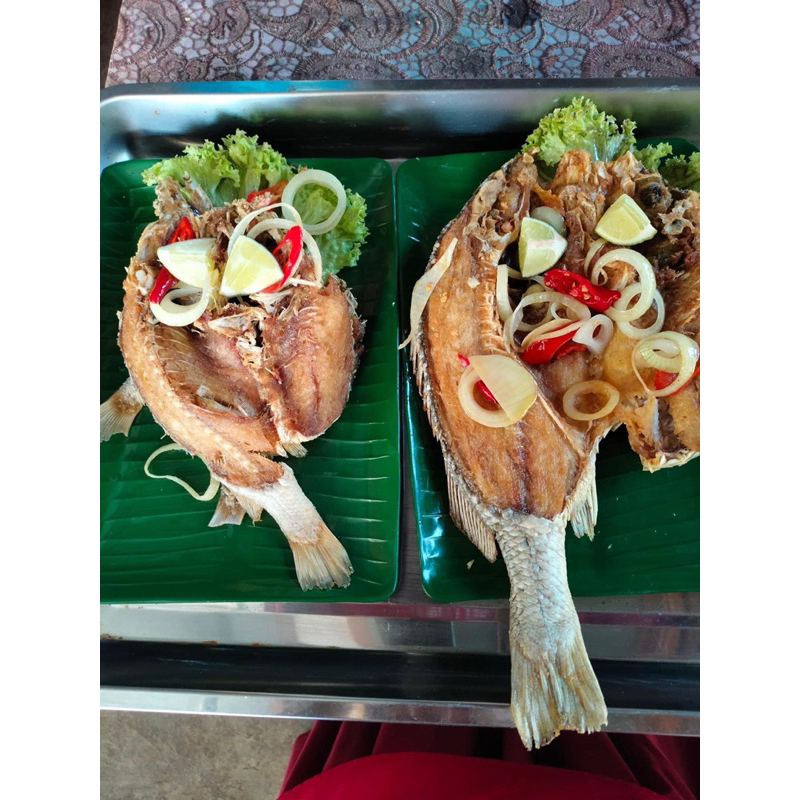 IKAN GELAMA BEKOK💯ORI DARI KELANTAN 300g | Shopee Malaysia