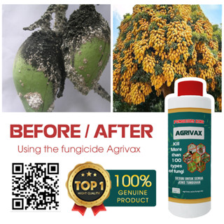 Fungicides, premium Plant Fungicide, special drugs for fungi and ...