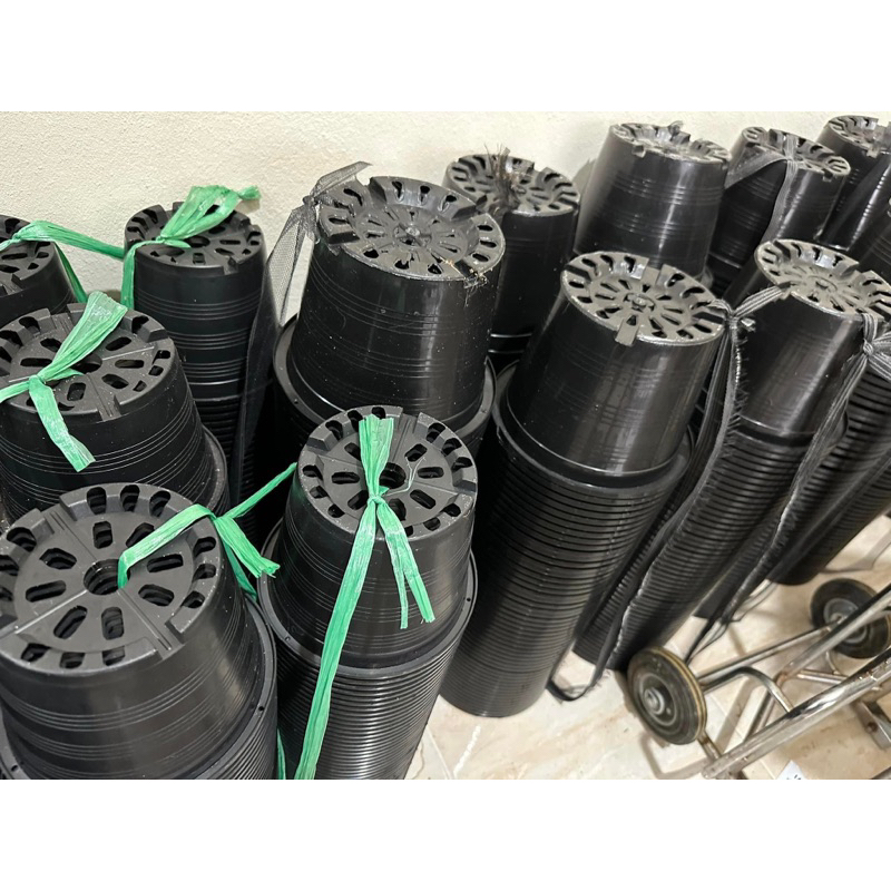 PASU HITAM THAILAND 12 INCH / 30CM🔥🔥 | Shopee Malaysia