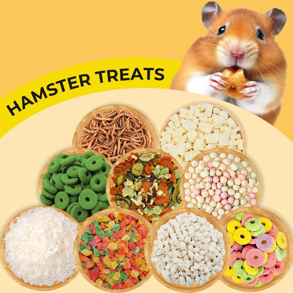 Hamster Food Small Pet Snacks Rabbit Food Chinchilla Food Vegetable Dry ...
