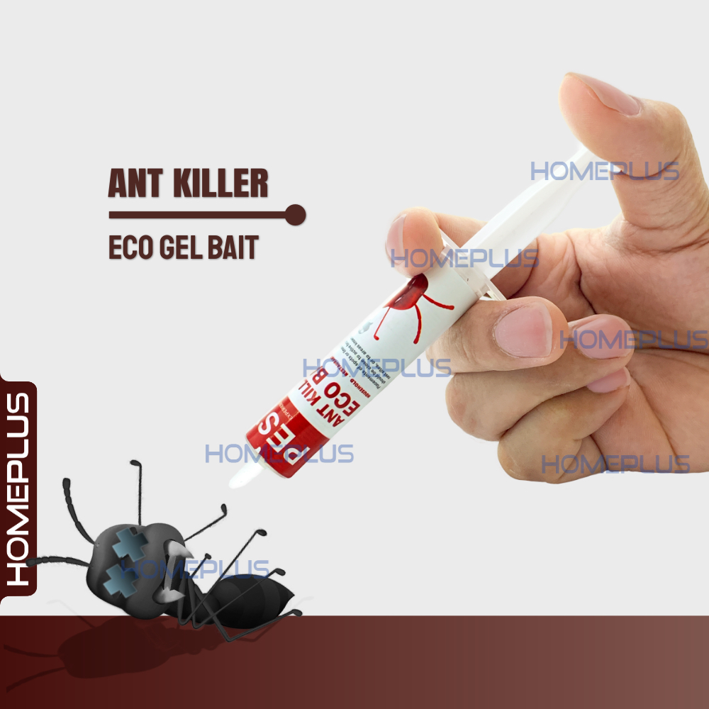 Homeplus Original Pest Asia Ant Killing Gel Killer Bait Cockroach Ubat Racun Semut Lipas Cicak ...