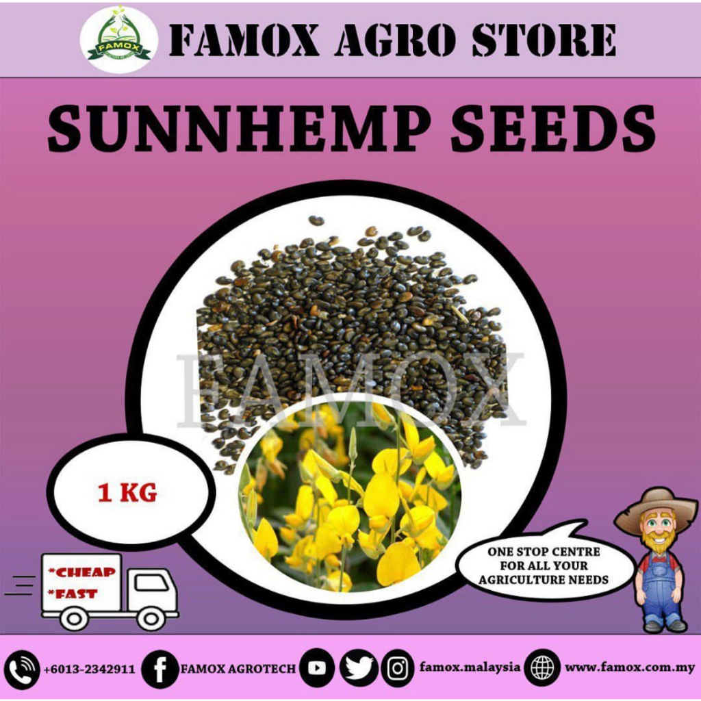 SUNN HEMP SEEDS / BENIH SUNN HEMP | Shopee Malaysia