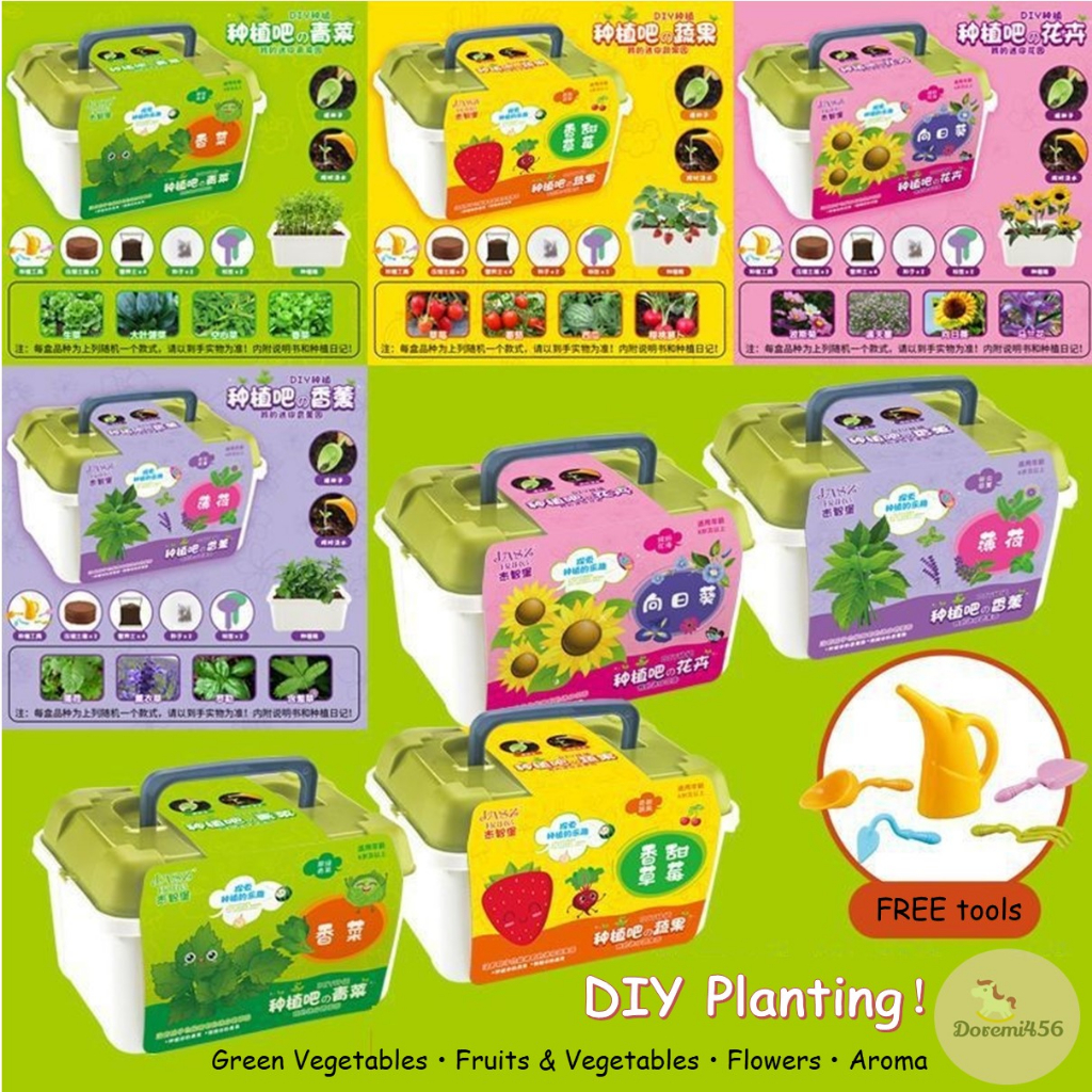 DIY Green Plant Set gift kindergarten educational toy flower seeds ...