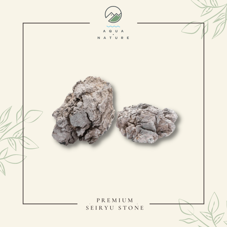 Aqua Nature Premium Seiryu/Acid Washed Seiryu/Ryuoh Stone (Aquascape ...