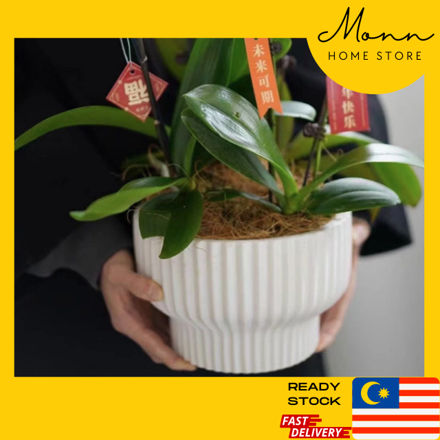 [READY STOCK] MONN White Wide Handmade Ceramic Pot Plants & Flowers ...