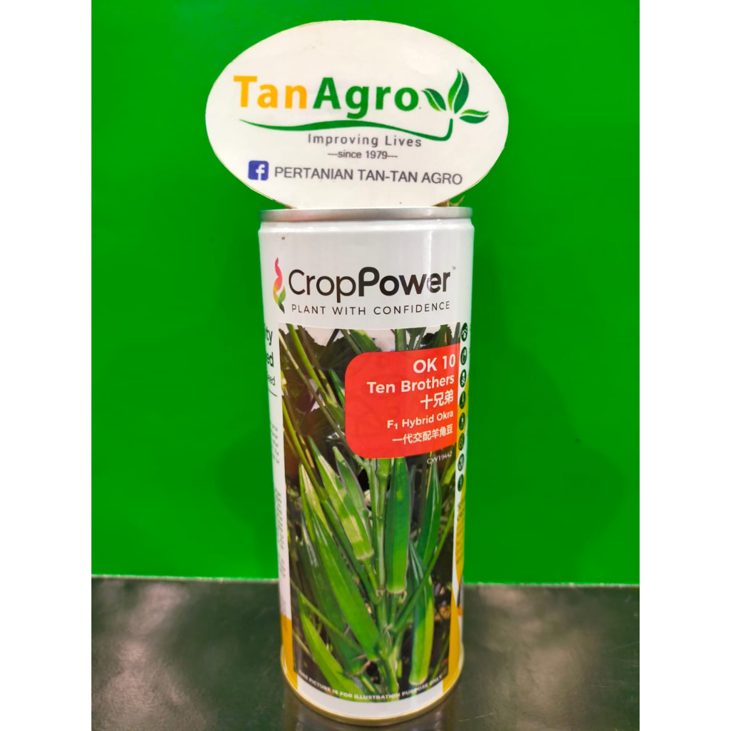 👉🏻ORIGINAL👈🏻 Crop Power seeds / biji benih OK 10 Ten Brothers (Okra ...