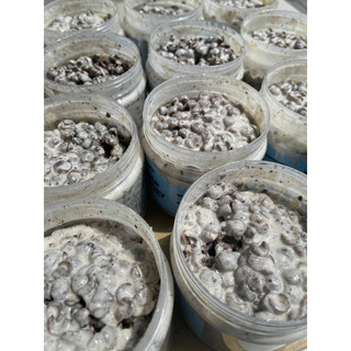 CHOCOJAR VIRAL MINI CRUNCH DEECHOQO ANEKA FLAVOUR | Shopee Malaysia