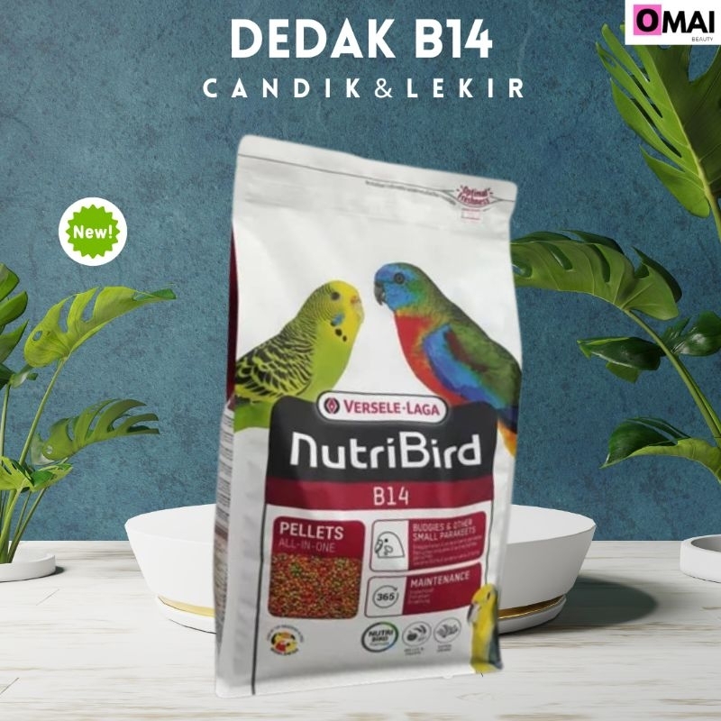 DEDAK B14 merbah jambul/candik | Shopee Malaysia