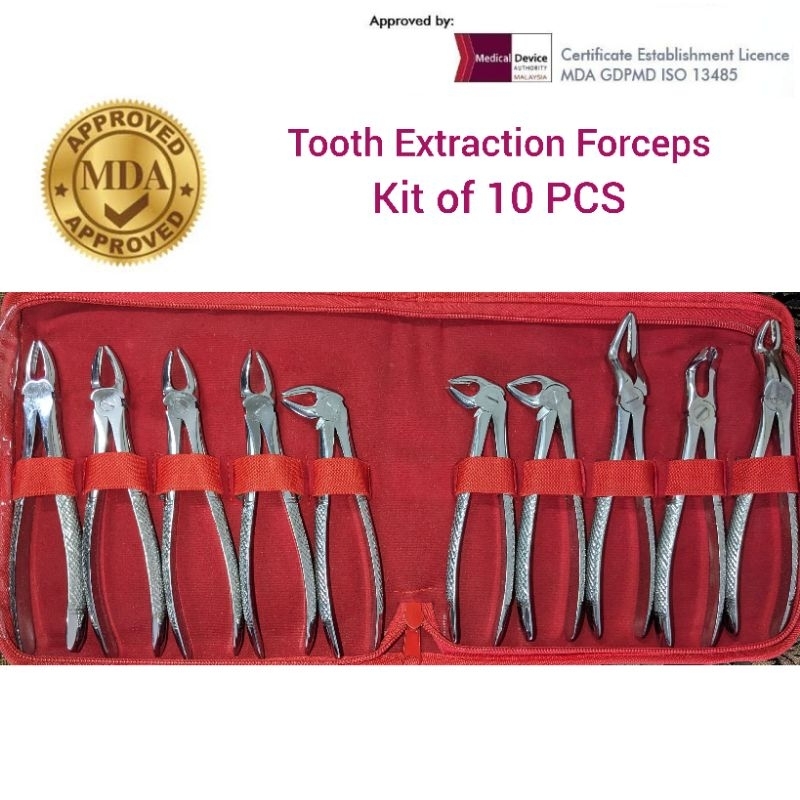 Tooth Extraction Forceps (SET OF 10 PCS) Adult Stainless Steel Gigi ...