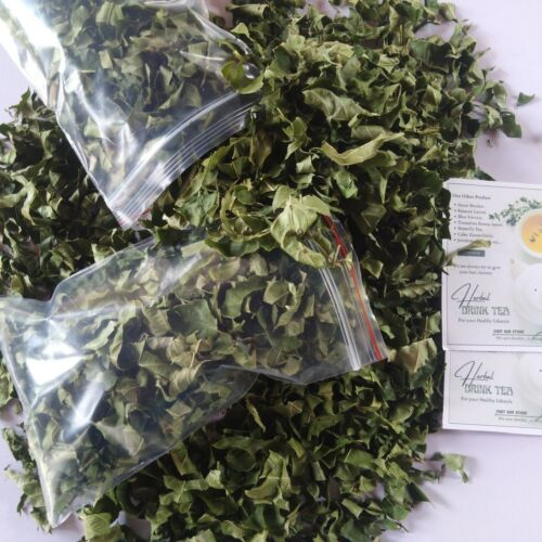 Dried Bandicoot Berry Leaves (leea indica) Common Tree-Vine Jolok-Jolok ...
