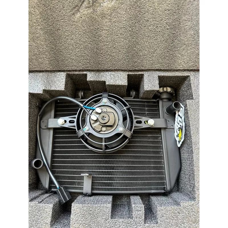RED LEO RADIATOR BIG DOUBLE FAN Y15ZR V1 V2 Y16ZR WATER PUMP RED LEO ...