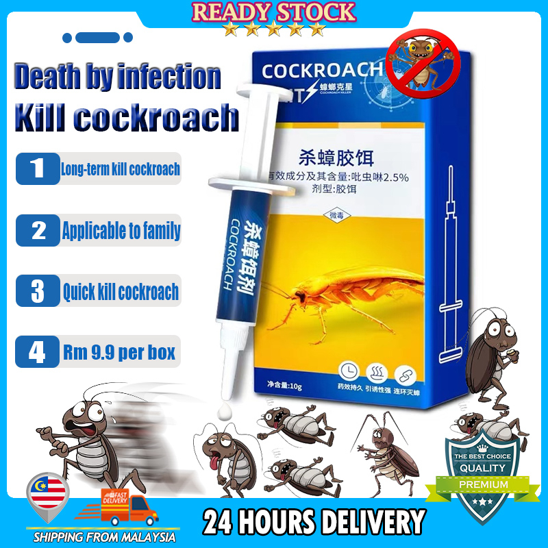 cockroach medicine at the end of the home non-toxic house strong kill ...