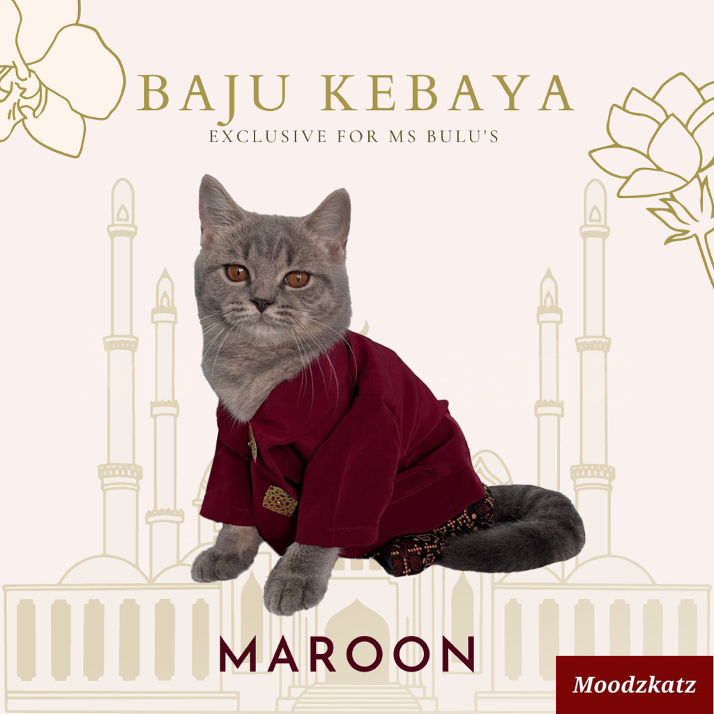 [Ready Stock Raya 2025] Baju Raya Baju Kebaya Kucing + Kain Batik ...