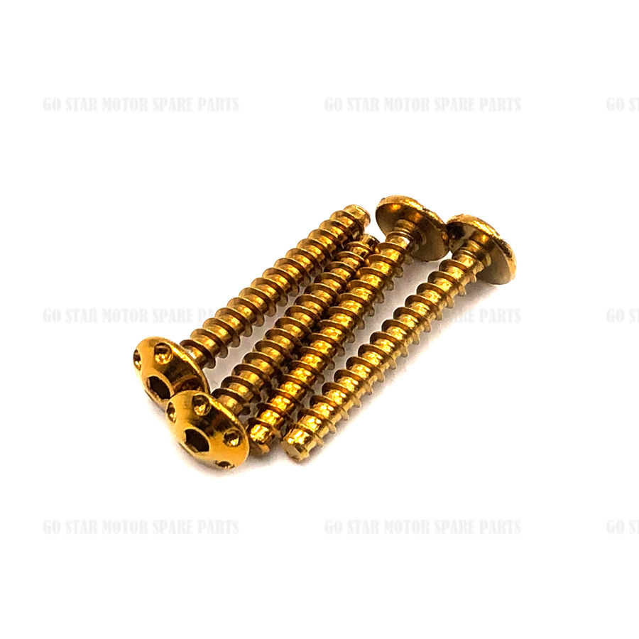 M5 35MM Gold Titanium Screw Skru Panjang Cover Set Bolt Basket Bakul ...
