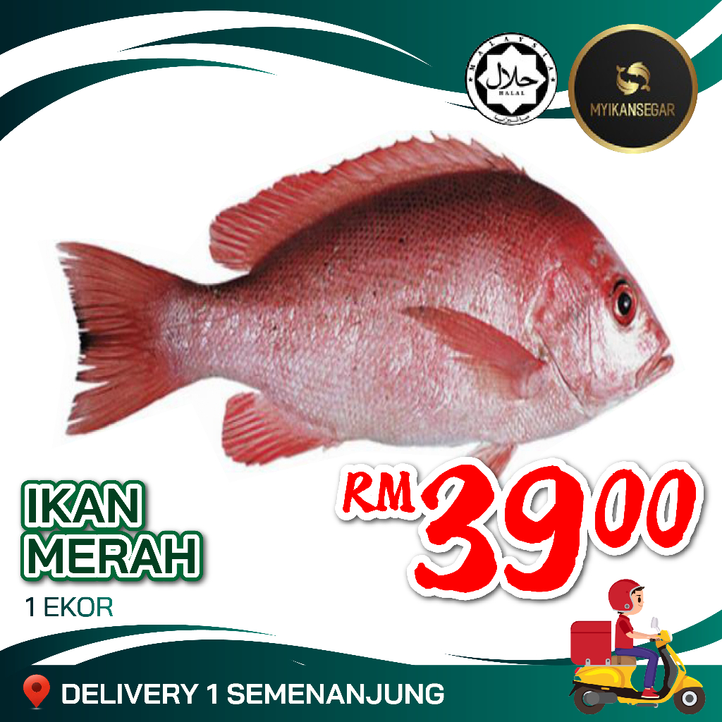 IKAN MERAH 1 EKOR IKAN MERAH FROZEN FOOD IKAN FROZEN | Shopee Malaysia