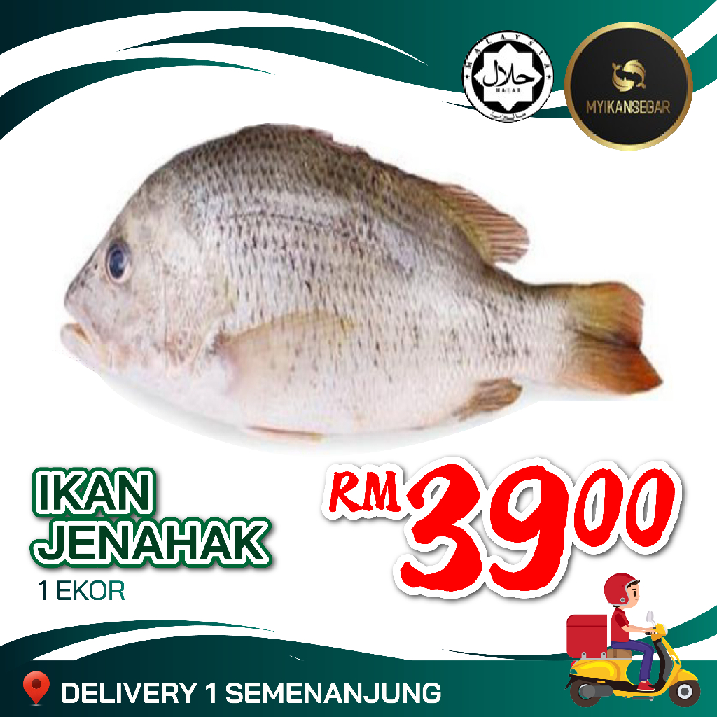 IKAN JENAHAK 1 EKOR (SIAP SIANG & CUCI) SNAPPER FISH IKAN JENAHAK ...