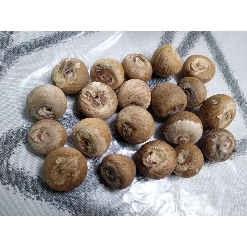 Buah Pinang Kering Bulat tanpa kulit 10biji | Shopee Malaysia