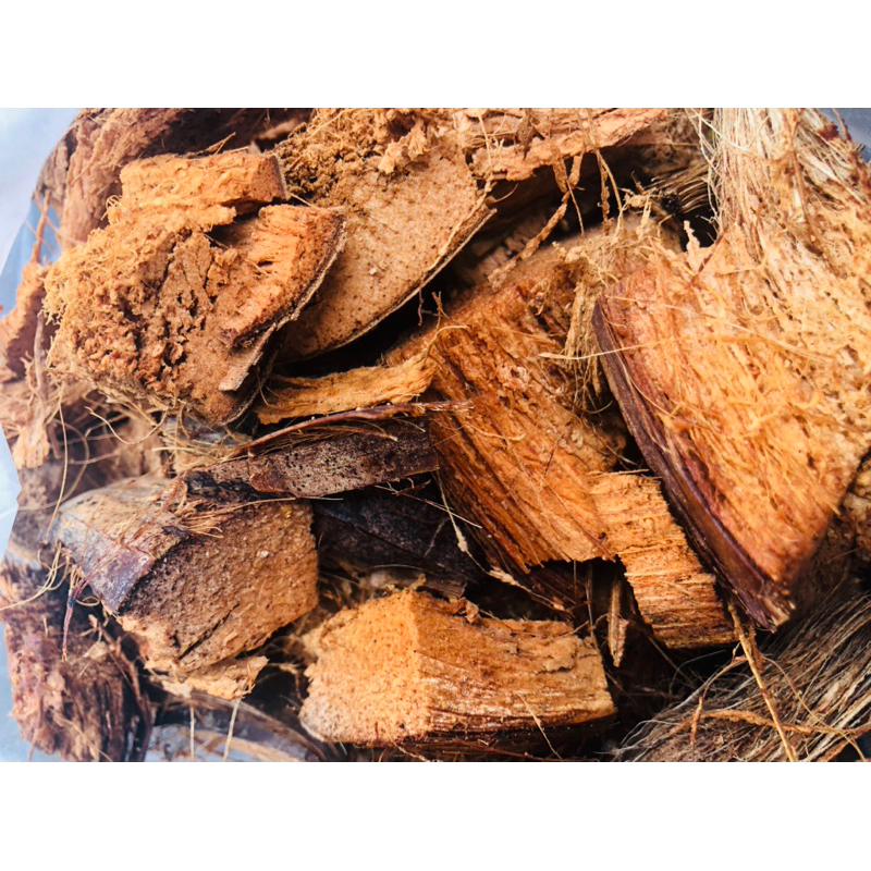 COCOCHIP (sabut potong) | Shopee Malaysia