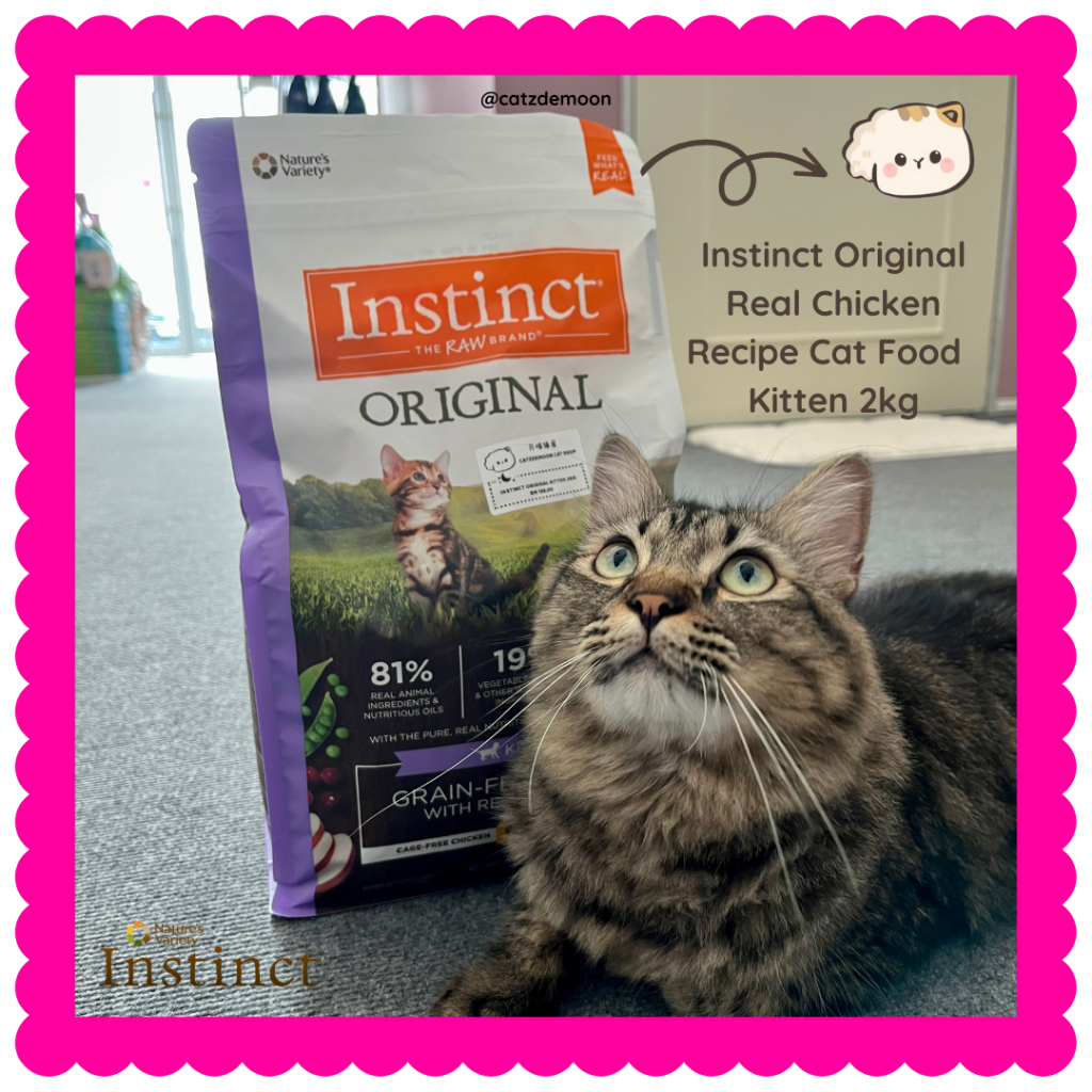 Instinct Cat Original Grain Free Recipe with Real Chicken for Kitten ...