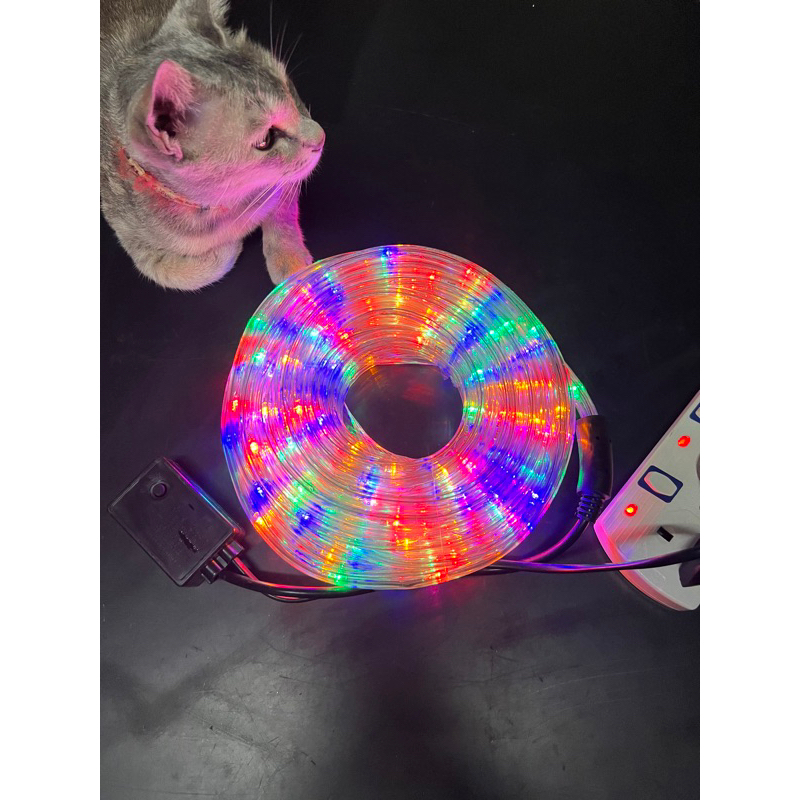Lampu Raya LED Waterproof 10M 33Kaki Lampu Kelip Multi Color Rope Light ...