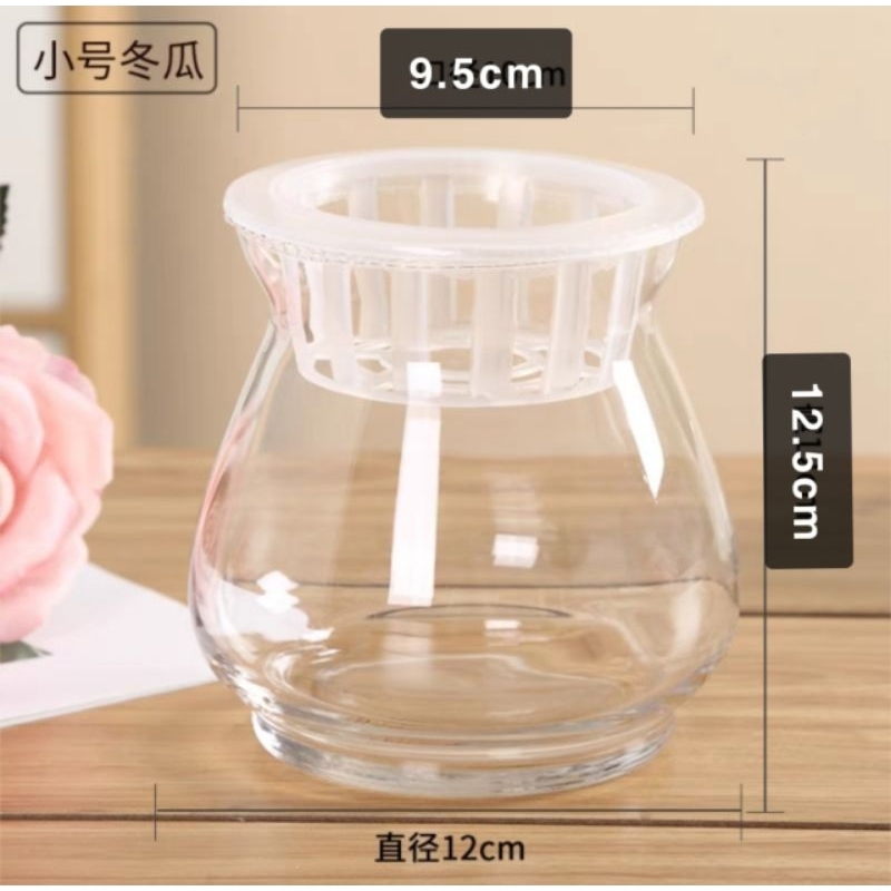 Pasu Bunga Plastik 🌳 Transparent Plastic Pot / Self Watering Pot ...