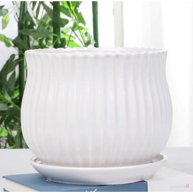 Ceramic Flower Pot 🇲🇾 White Flower Vase / Pasu Seramik / Pasu Orkid ...
