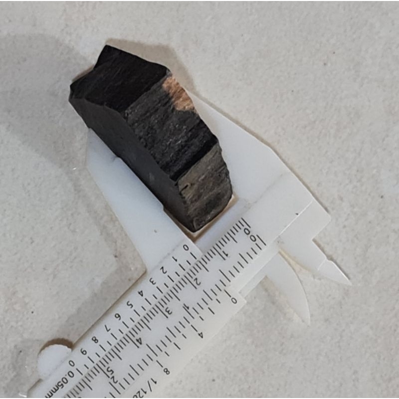Ketulan Fosil kelor hitam | Shopee Malaysia