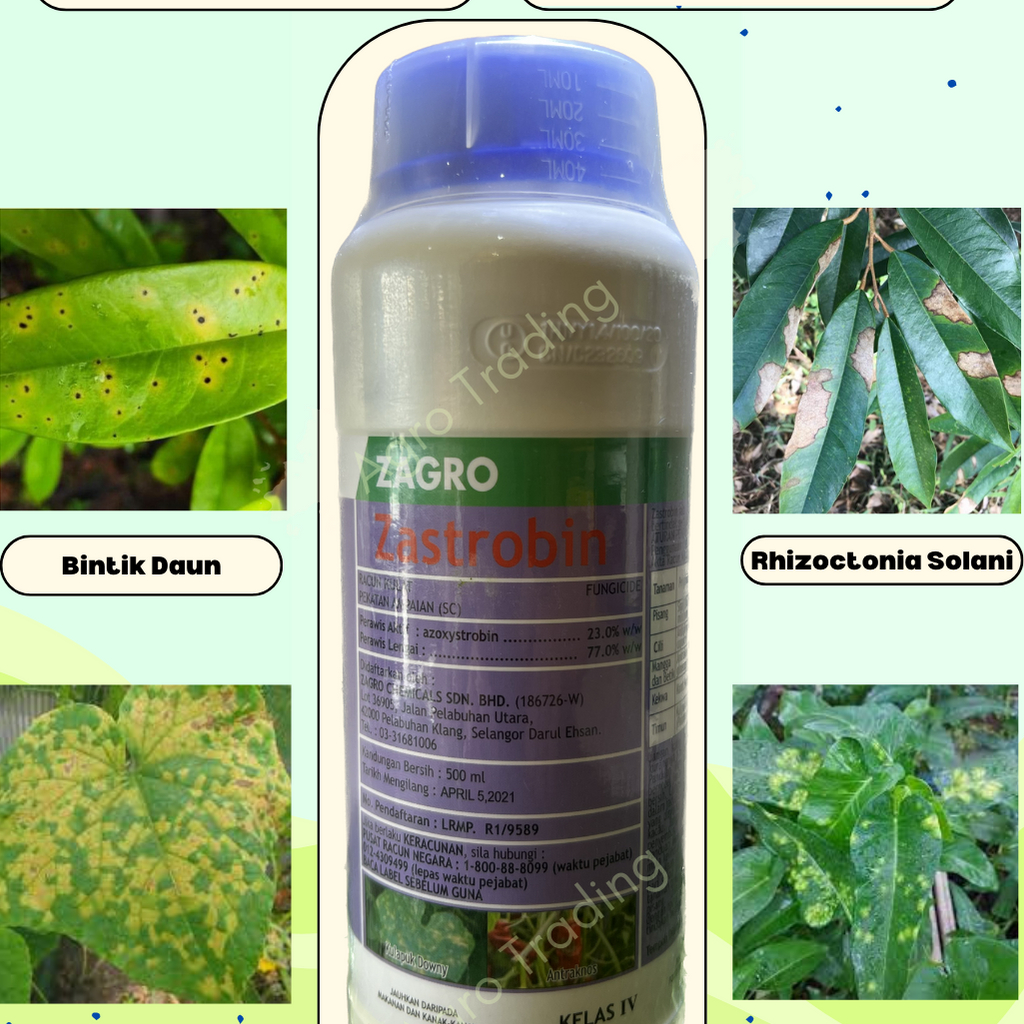 500ml Zastrobin Azoxystrobin 23.0% Racun Kulat Same with Syngenta ...