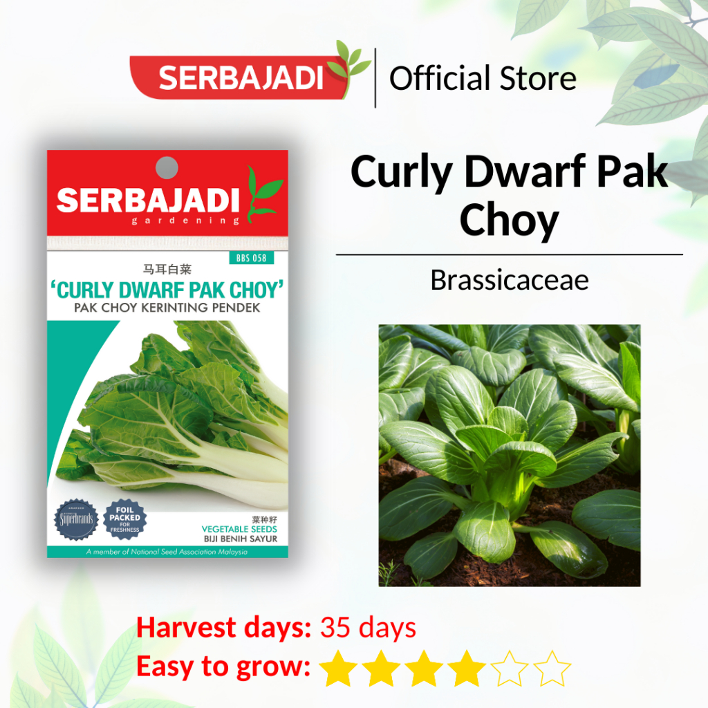 Serbajadi Vegetable Seed Ma Yee Pak Choy/ Biji Benih Sayur Pak Choy Ma ...