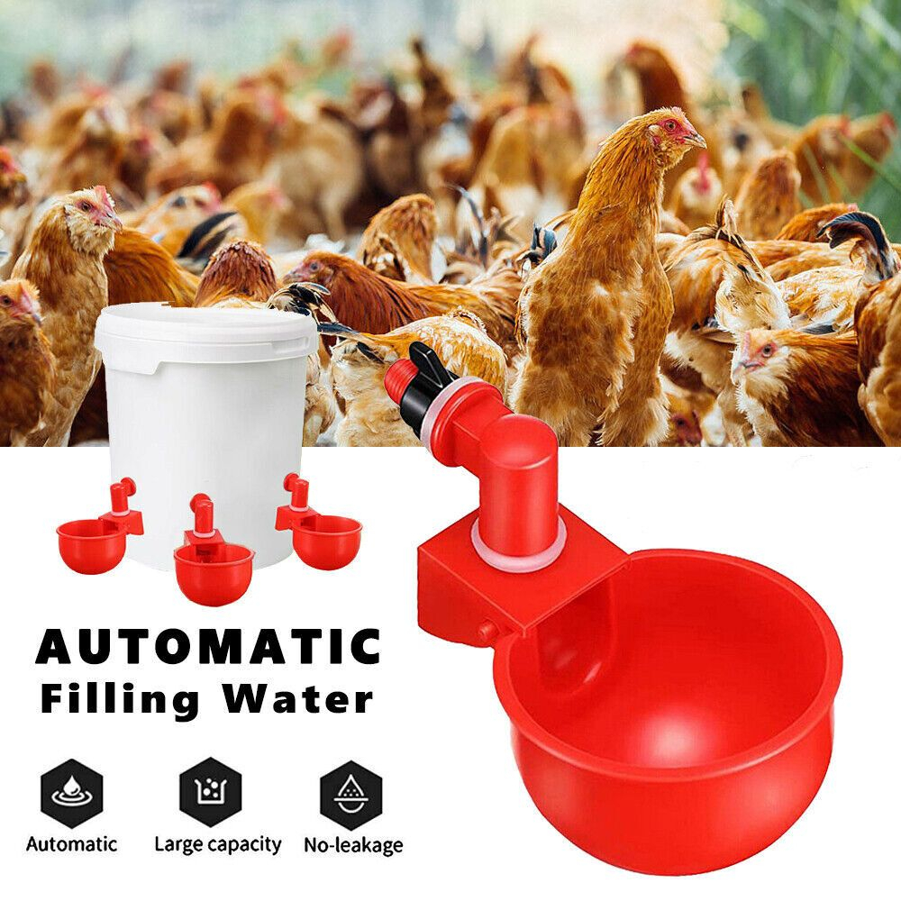 *READY STOCK* Chicken Automatic Water Dispenser | Shopee Malaysia