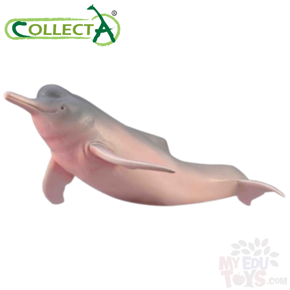 Amazon River Dolphin - Collecta 88994 Ocean Sea Life Animal Action ...