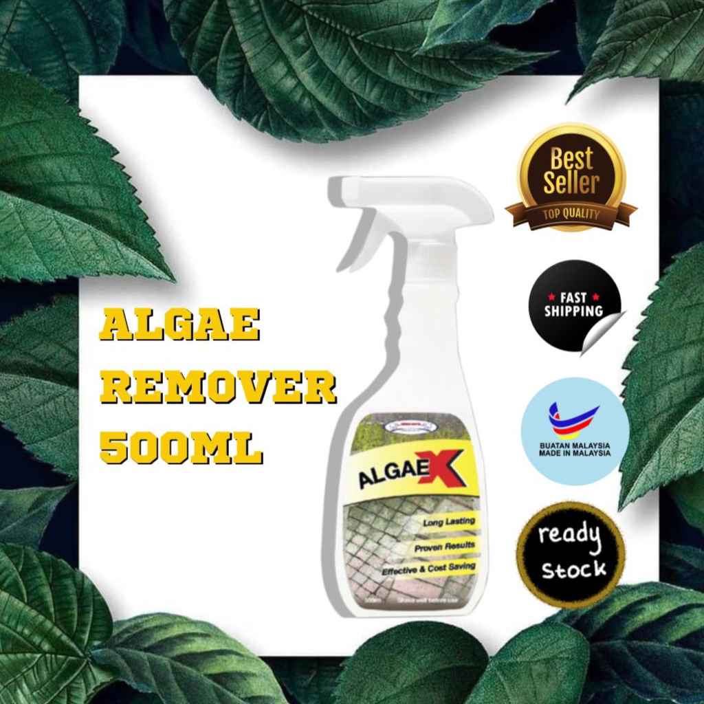 500ml Spray Anti-Alga & Lumut - Hilangkan Alga dengan Mudah! Sesuai ...