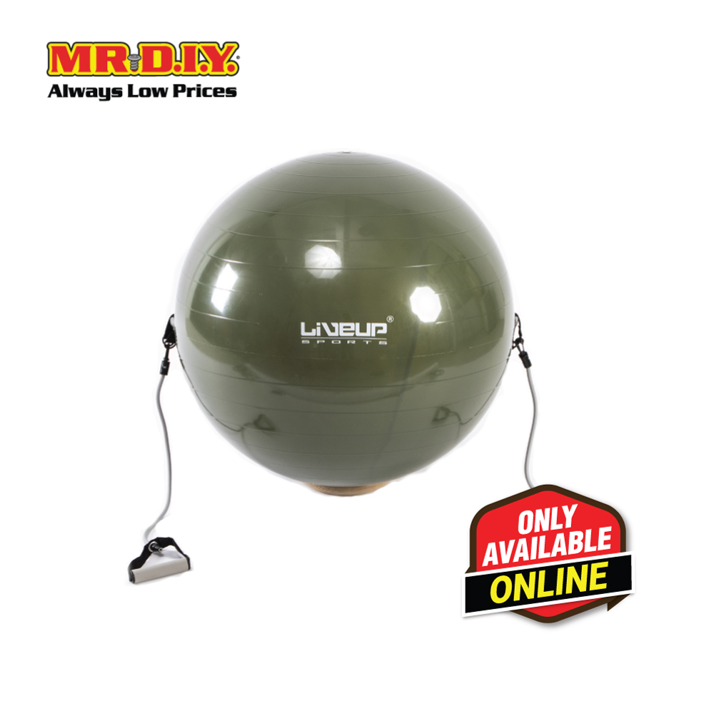 LIVEUP Sports Exercise Gym Ball With Expander - Grey (65cm) LS3227 ...