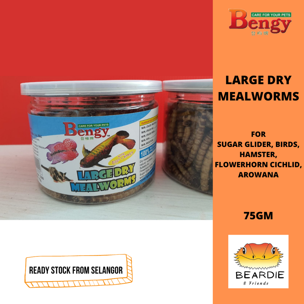 BENGY LARGE DRY MEALWORMS SNACK TREATS FOR SUGAR GLIDER HAMSTER FISH ...