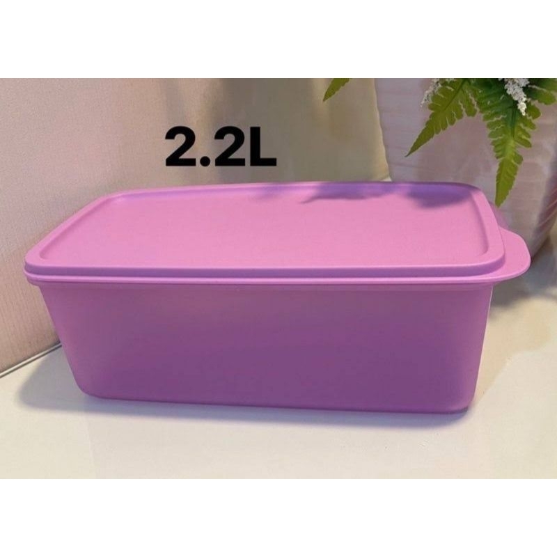 Tupperware Party Keeper 3L / Cool Stacker 2.2L (1pc) | Shopee Malaysia