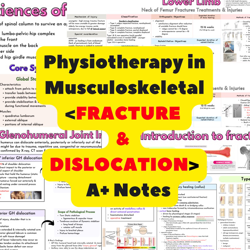 Physiotherapy in Musculoskeletal Condensed Notes (Fracture ...