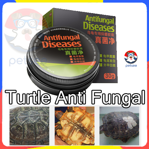 PETSEE Turtle Shampoo Kurakura Sulcata Tortoise Shell Care Reptile ...