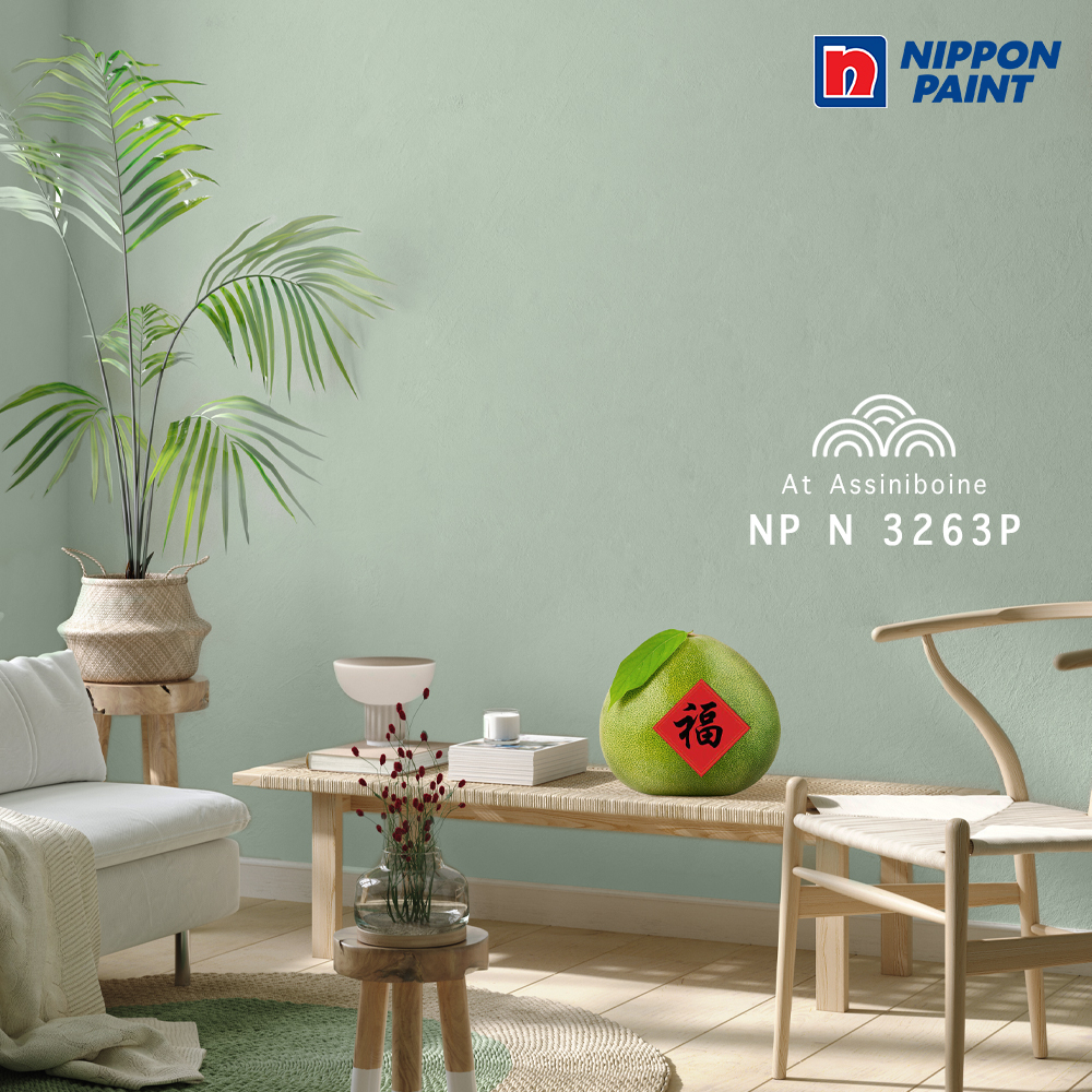 NP N 3263 P (5L) NIPPON SATIN GLO Instagram Photo Colour Code ...