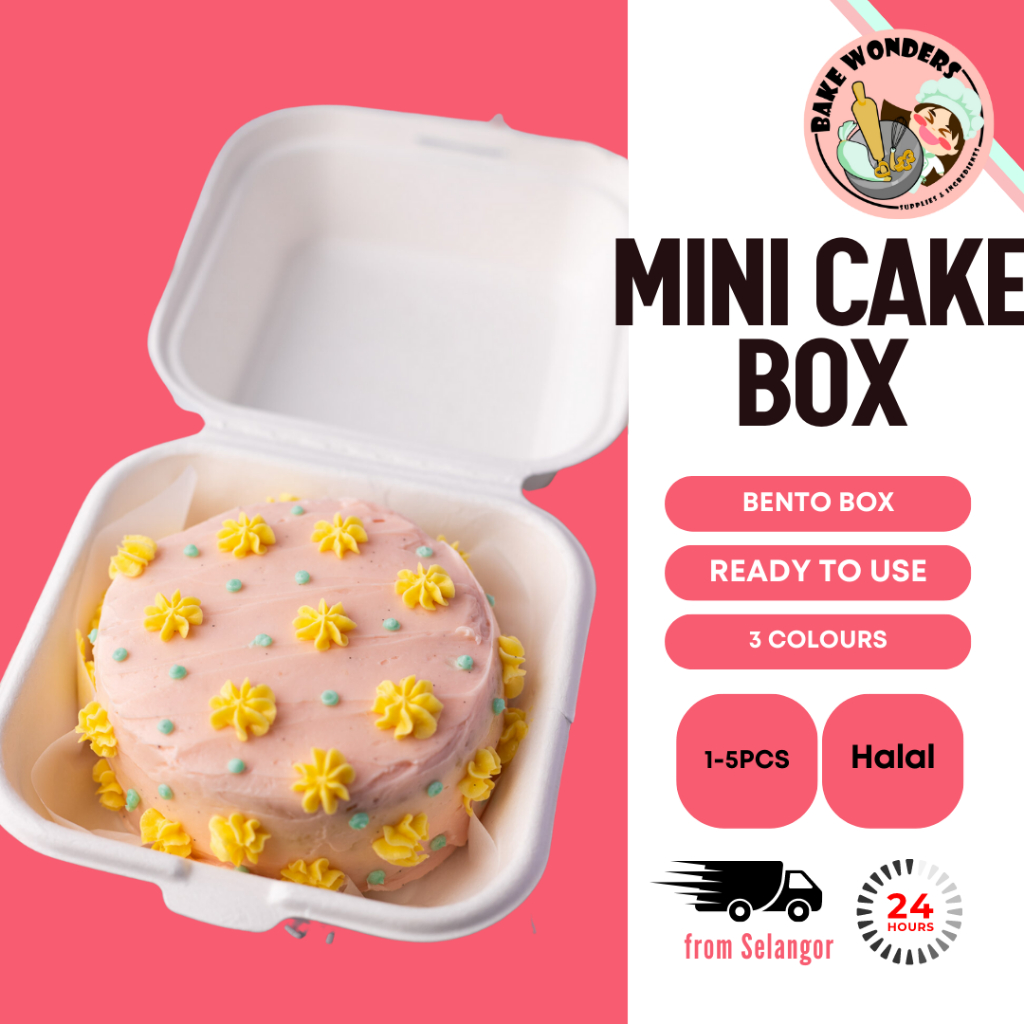 Bento Cake Box/ Mini Cake Box/ Cake Box/ Plastic Cake Box/ Cake Box ...