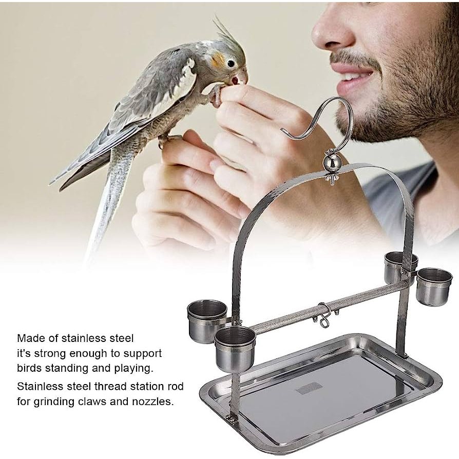 ️Ready Stock Malaysia🧡Stainless Steel Parrot Stand Bird Stand | Shopee ...