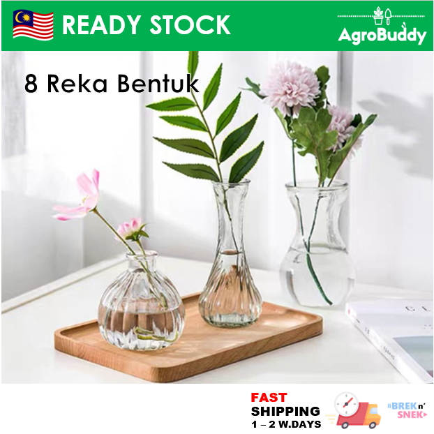 AgroBuddy Pasu Kaca Bunga Lut Sinar | Nordic Transparent Glass Vase Dry ...