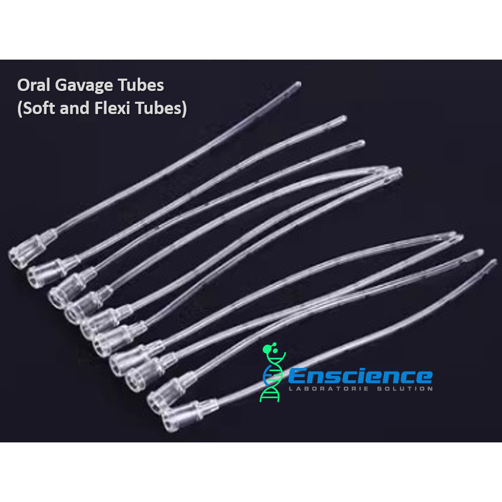 Oral Gavage Tubes, Flexible, Soft, Suitable for Small Rodents, Birds ...