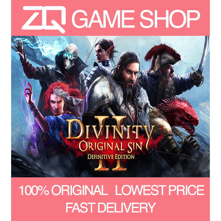 Divinity: Original Sin 2 | Steam PC Game | Online & Offline [Instant ...