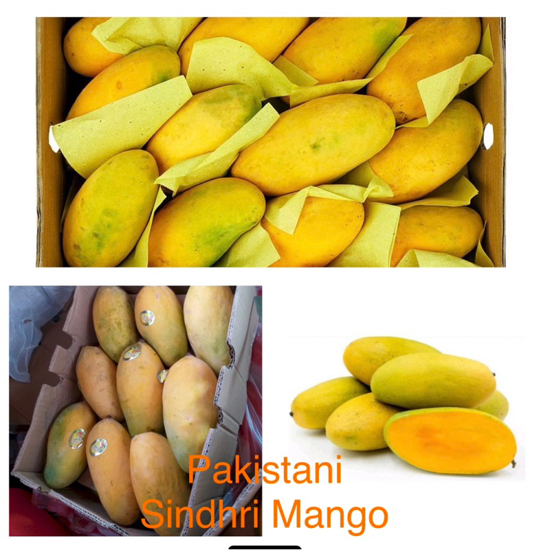 High quality Pakistani Mango sweet like honey: Sindhri Mango | Shopee ...