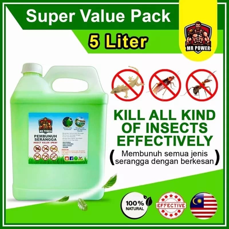 MR POWER CICAK KILLER 5 LITER PEK JIMAT | Shopee Malaysia