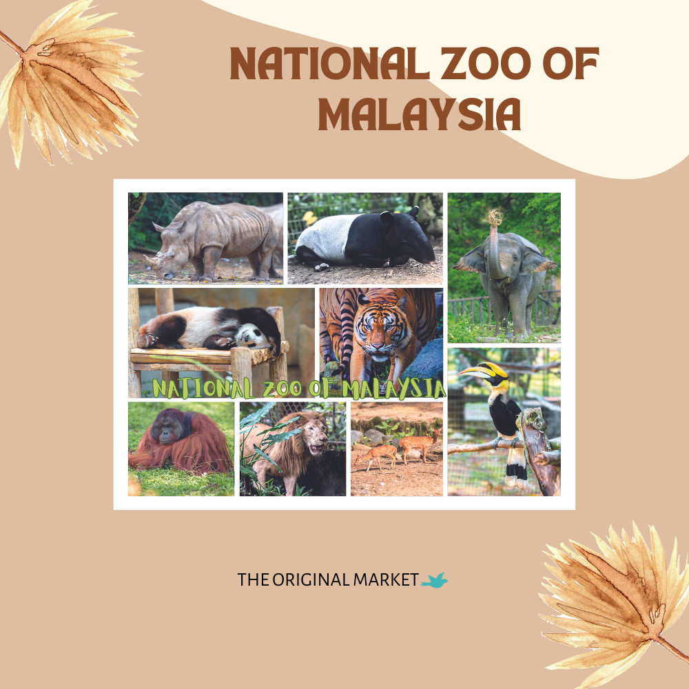 Malaysia Postcard - National Zoo of Malaysia | Zoo Negara | Shopee Malaysia