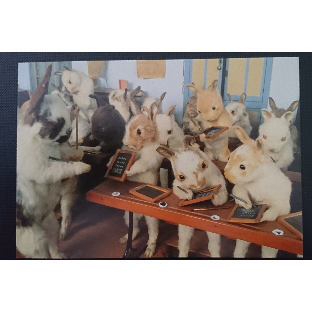 Vintage Postcard "The Rabbit Village" by Walter Potter | Shopee Malaysia