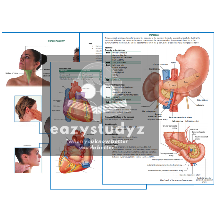 MRCS NOTES. ANATOMY PHYSIO. PATHO. PERIOPERATIVE. MICROLOGY. SURGICAL ...